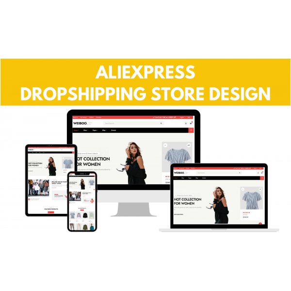 Amazon Affiliates & AliExpress Dropshipping WordPress Website ...
