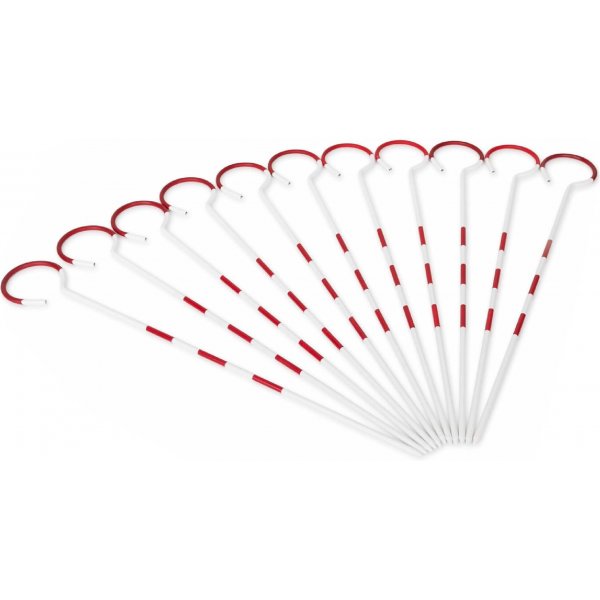 14" Survey Arrows Pin Set Price in Bangladesh | BDStall