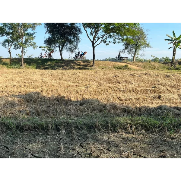 11 Shotangso Land Sale at Dhobaura, Mymensingh Price in Bangladesh ...