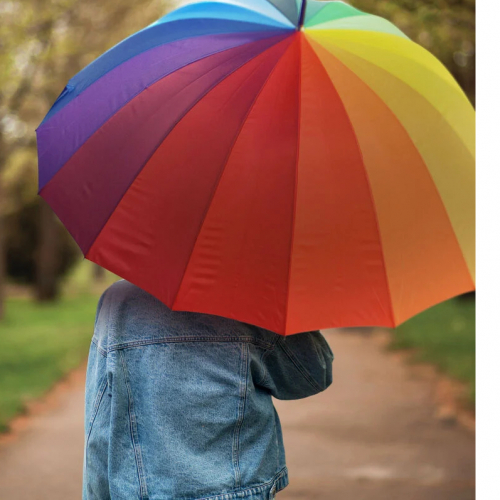 Moon Umbrella Price in Bangladesh | Bdstall