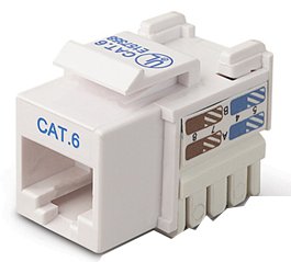CAT6 Modular Plug Standard 110 Interface Price in Bangladesh | BDStall