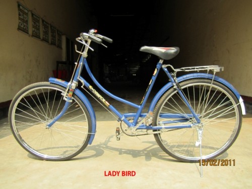 Lady Bird Bicycle Price in Bangladesh | BDStall