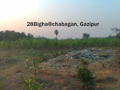 28 Bigha Land Available at Chabagan Gazipur Price in Bangladesh | BDStall